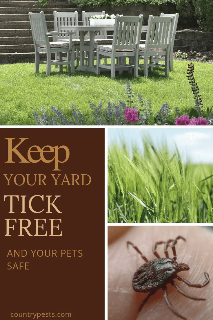 How To Keep Ticks Out Of Your Yard And Your Kids Safe (Pets Too)